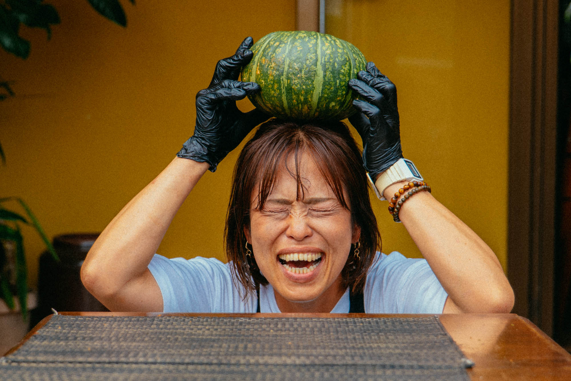 若松ハーベスト | Nui Studio